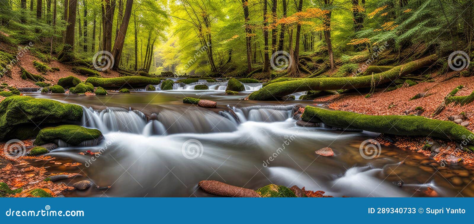 Horizontal Anamorphic Display Idyllic River in the Forest Stock ...