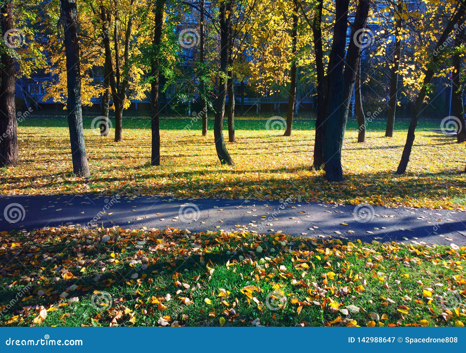 Horizontal Autumn Alley Landscape Background Stock Image - Image of ...