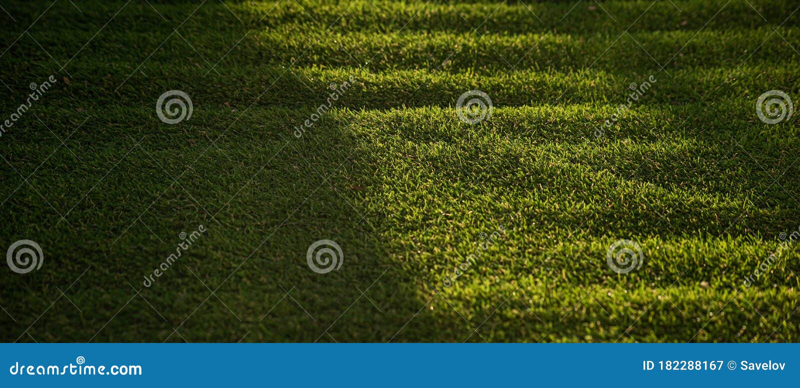 Horizontal Background with Perfect Artificial Grass in Contrasting ...