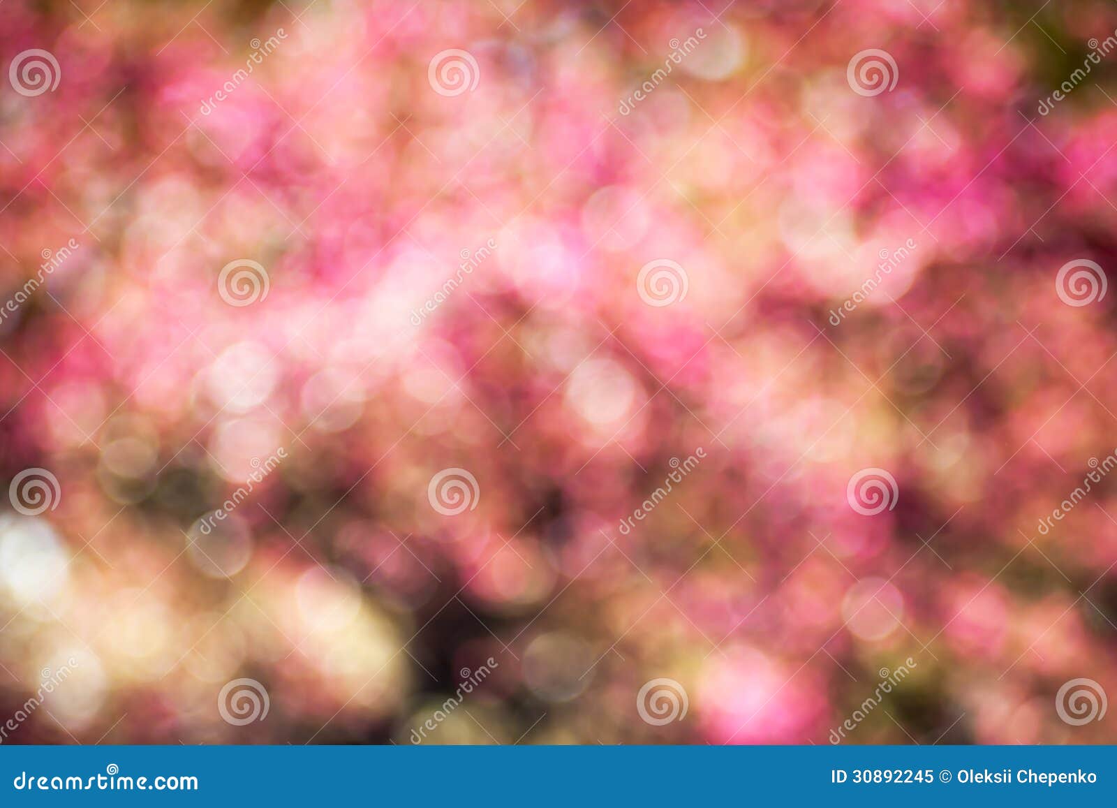 Horizontal Background with Pink Bokeh Stock Image - Image of backdrop ...