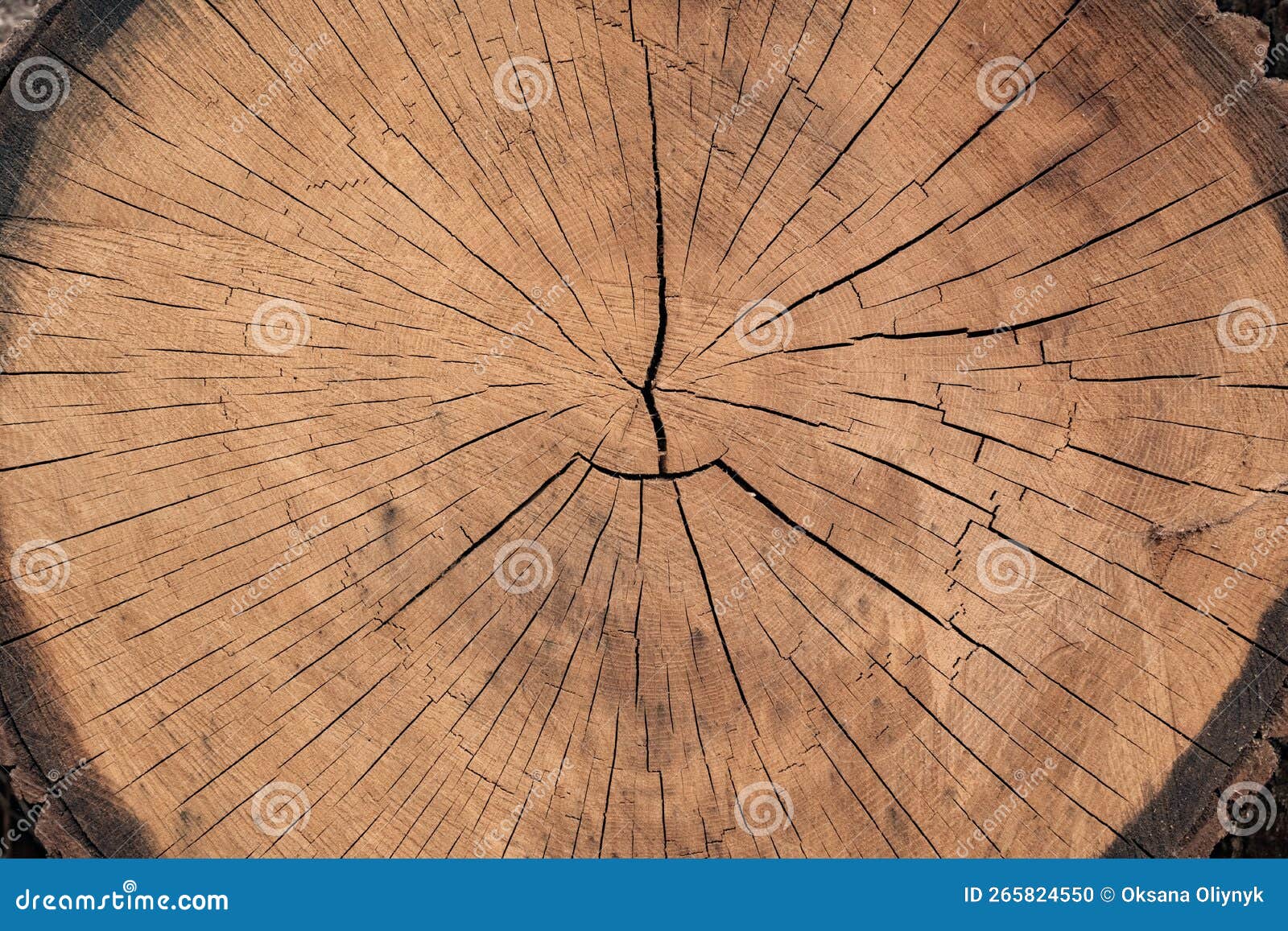 Horizontal Background. Wood Natural Texture Stock Photo - Image of ...