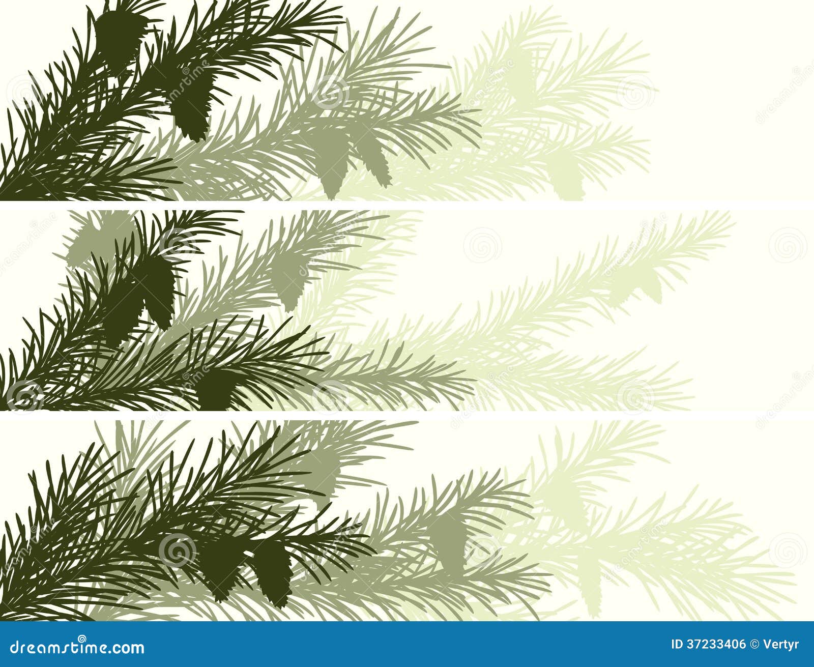 Horizontal Banner of Spruce Branch. Stock Vector - Illustration of ...