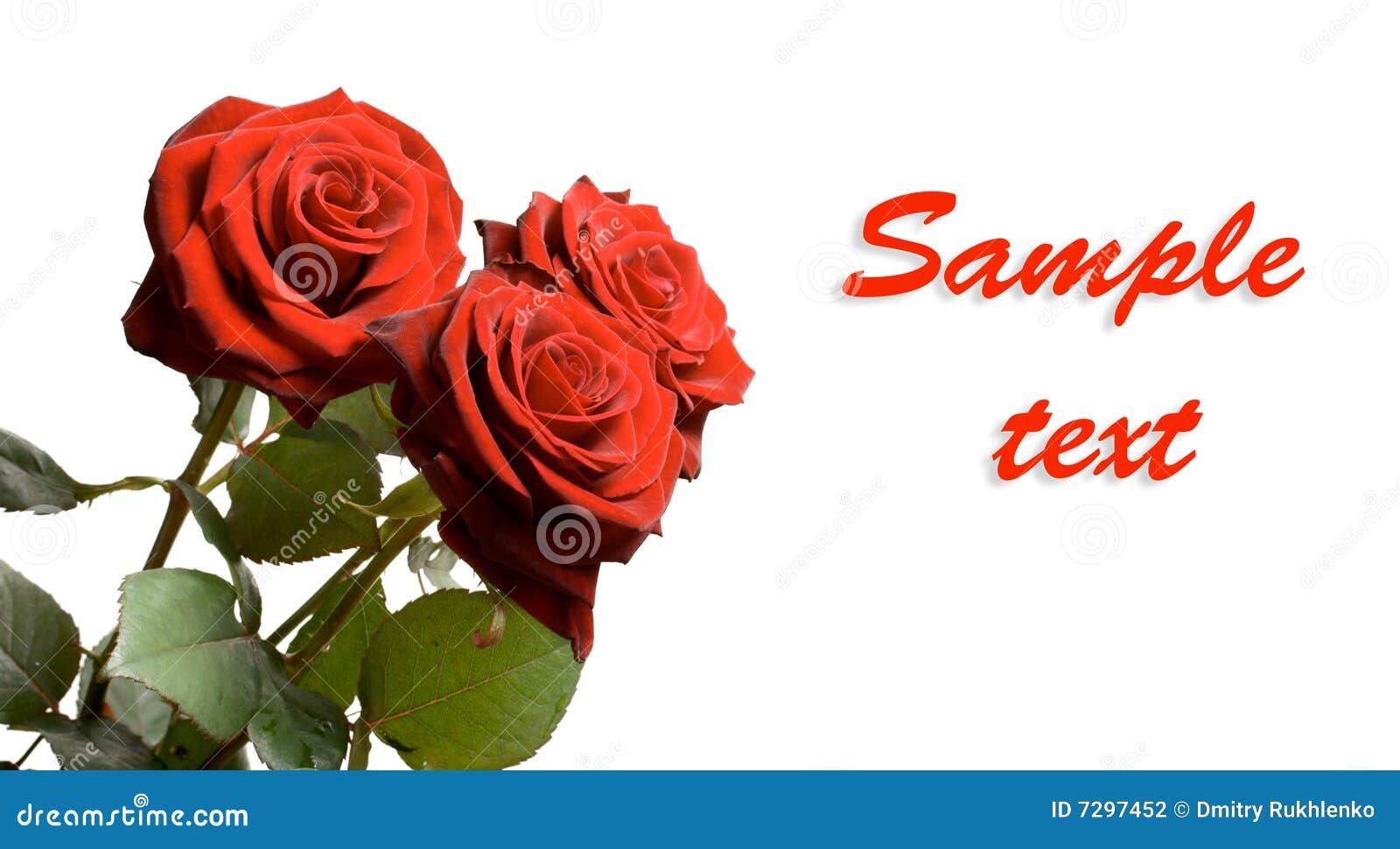 15,780 Horizontal Roses Photos - Free & Royalty-Free Stock Photos from ...