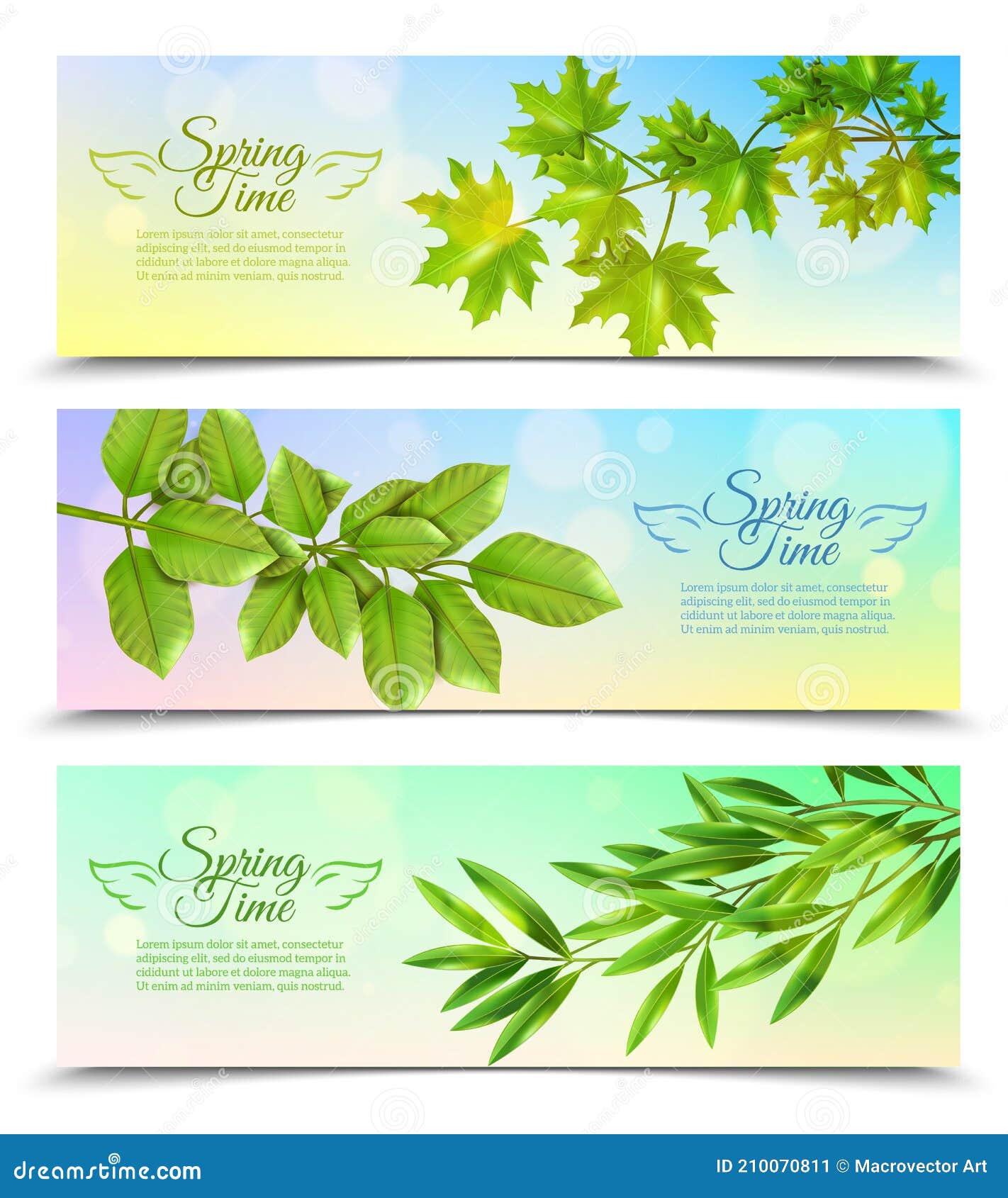 Horizontal Banners Set with Green Branches Stock Vector - Illustration ...