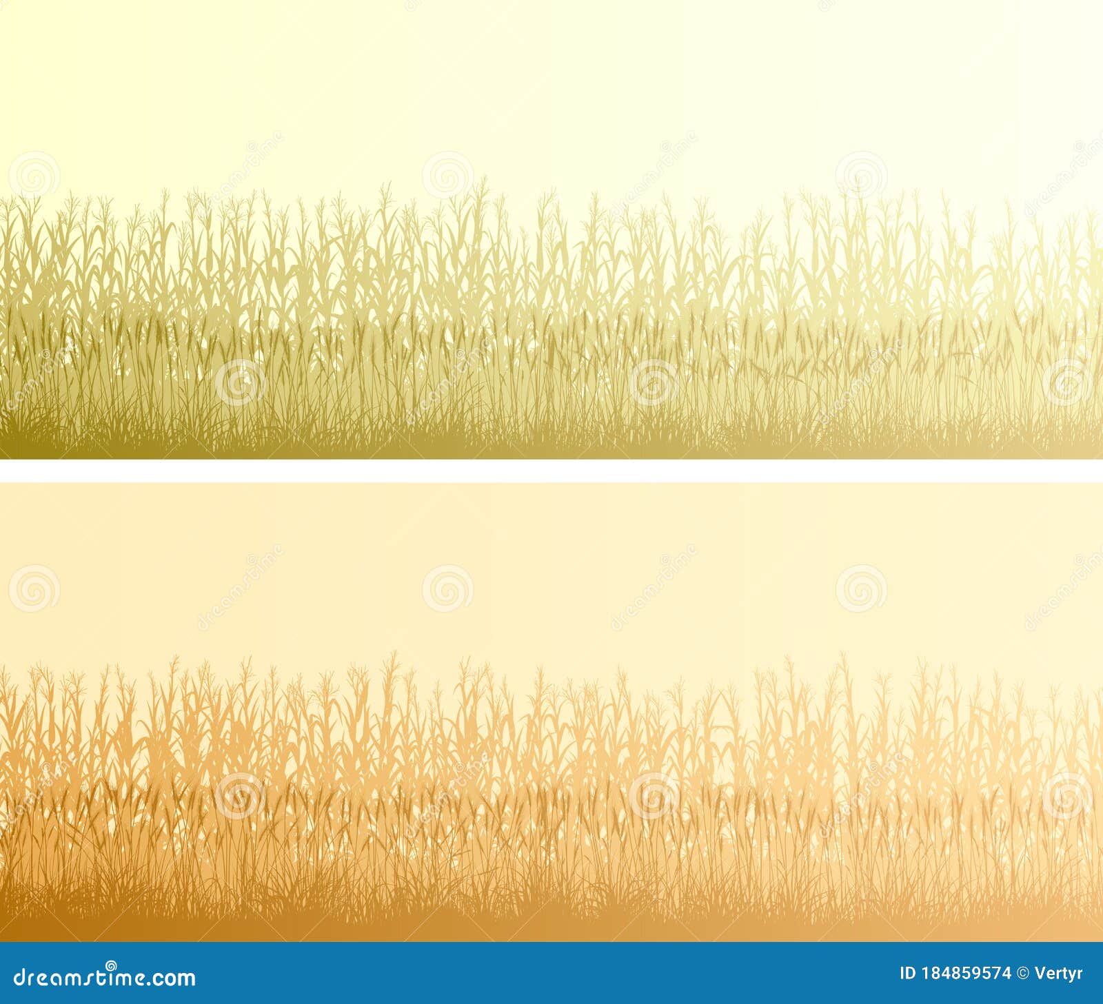 Horizontal Banners Silhouettes Of Corn Field And Cereal Grass In Front ...