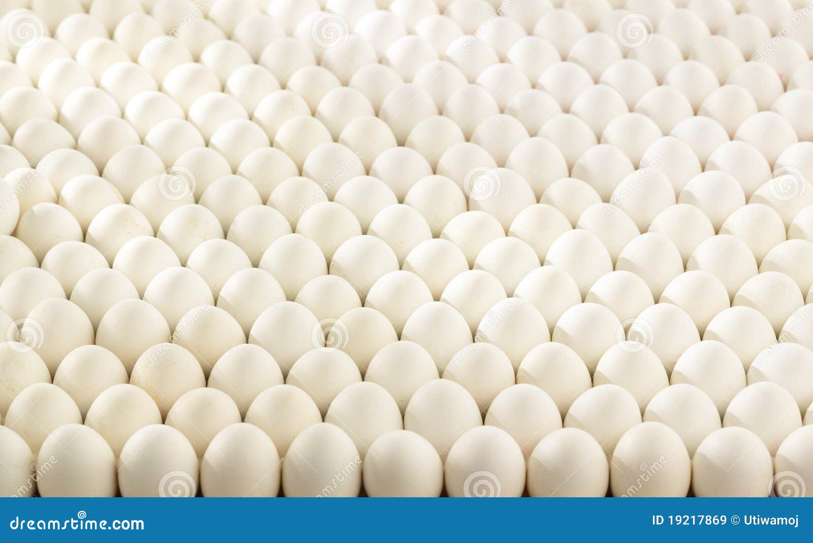 Horizontal Base with Natural Eggs Stock Image - Image of landing, dais ...