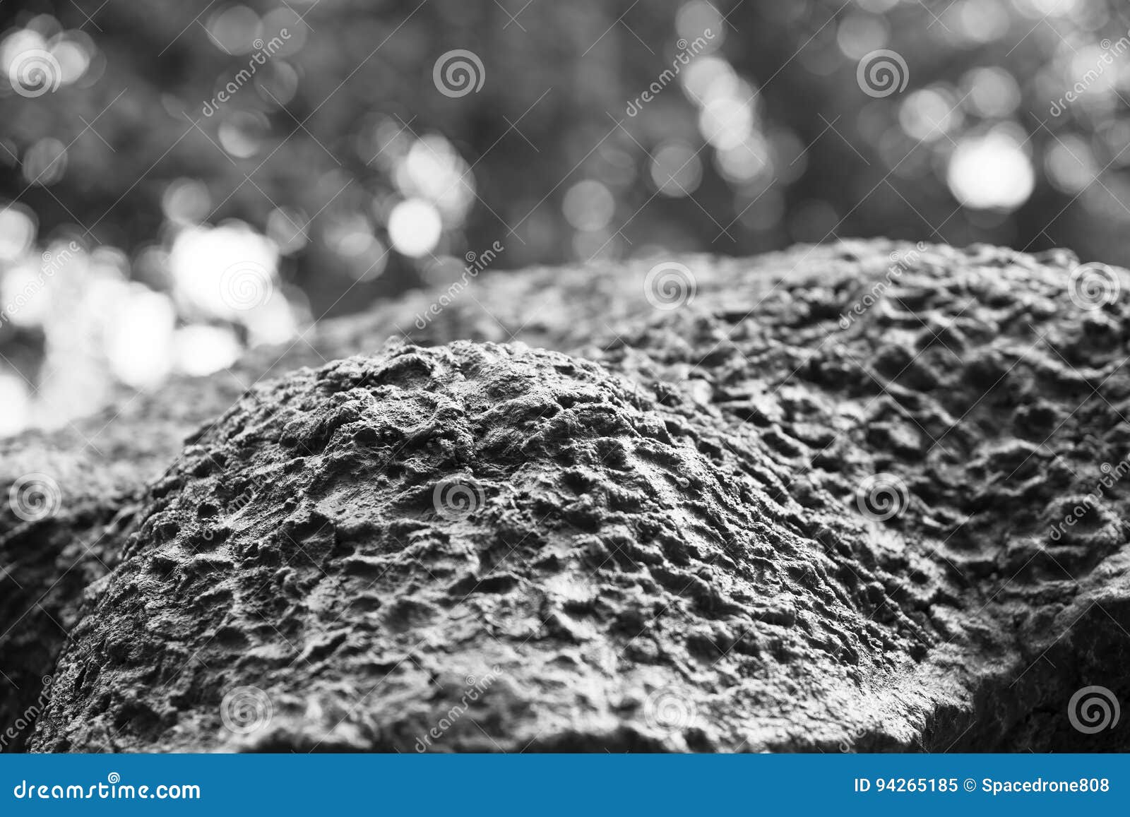 Horizontal Black and White Ground Park Texture Background Stock Image ...