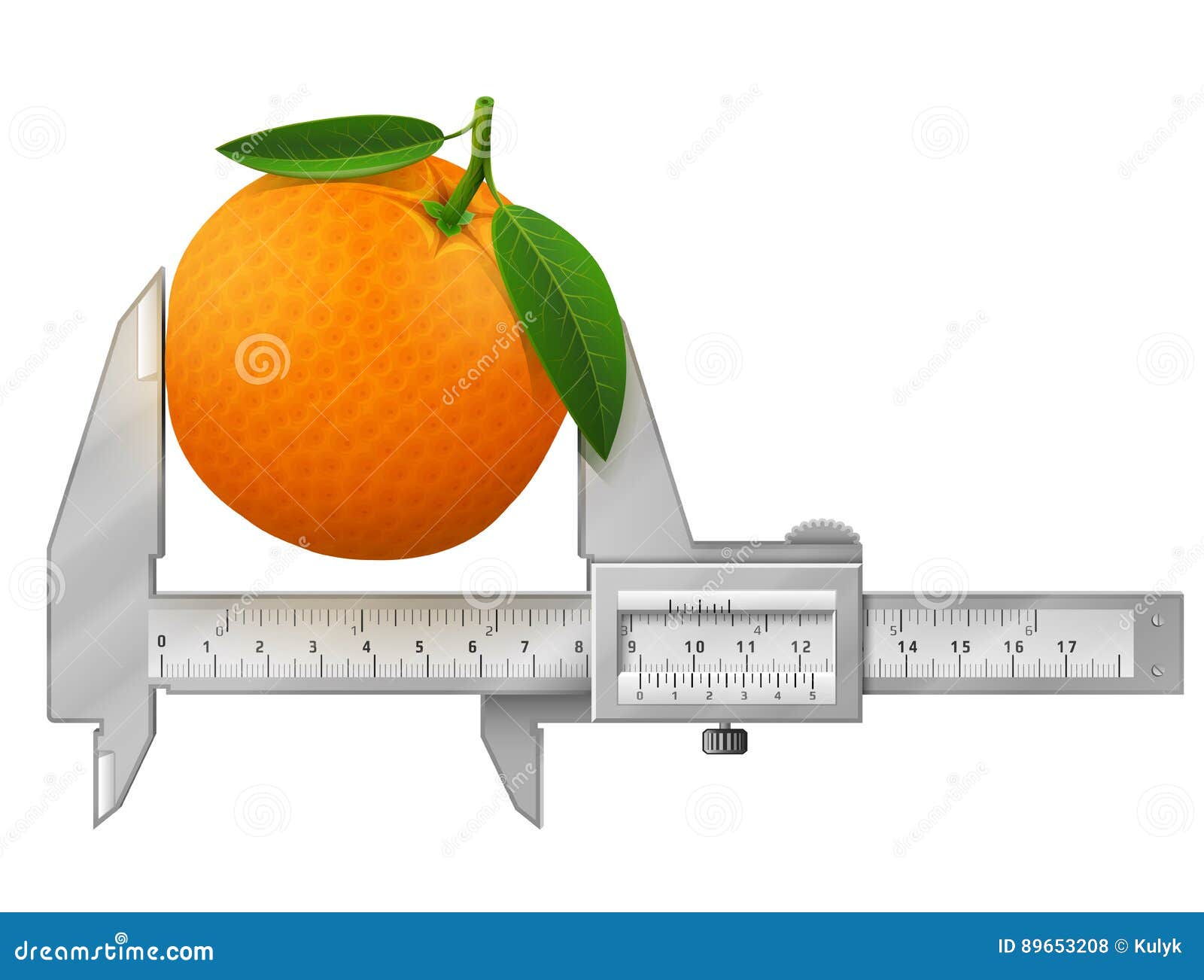 Horizontal Caliper Measures Orange Fruit Stock Vector - Illustration of ...