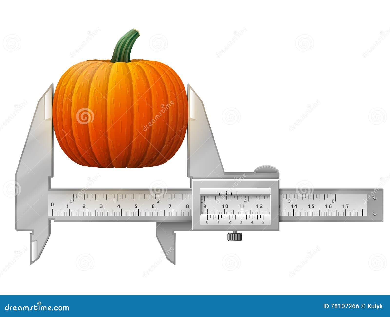 Horizontal Caliper Measures Pumpkin Fruit Stock Vector - Illustration ...