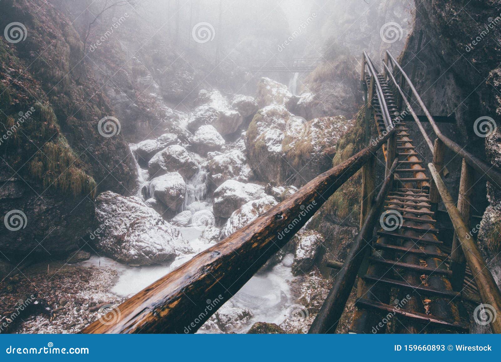 Horizontal Closeup of a Wooden Pathway Near a Cliff with the Forest ...