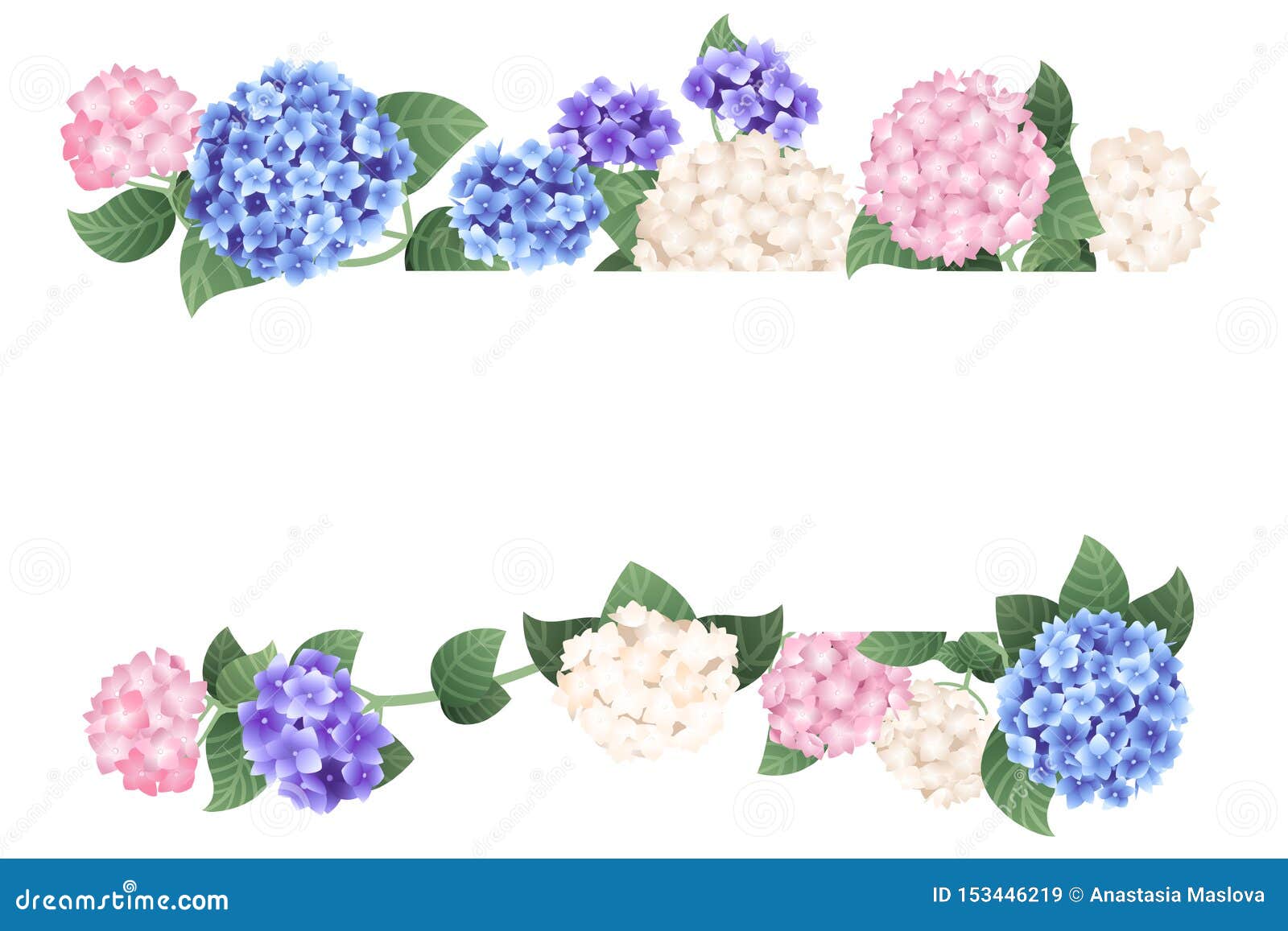 Horizontal Colorful Hydrangea Template Design Banner Flat Vector ...