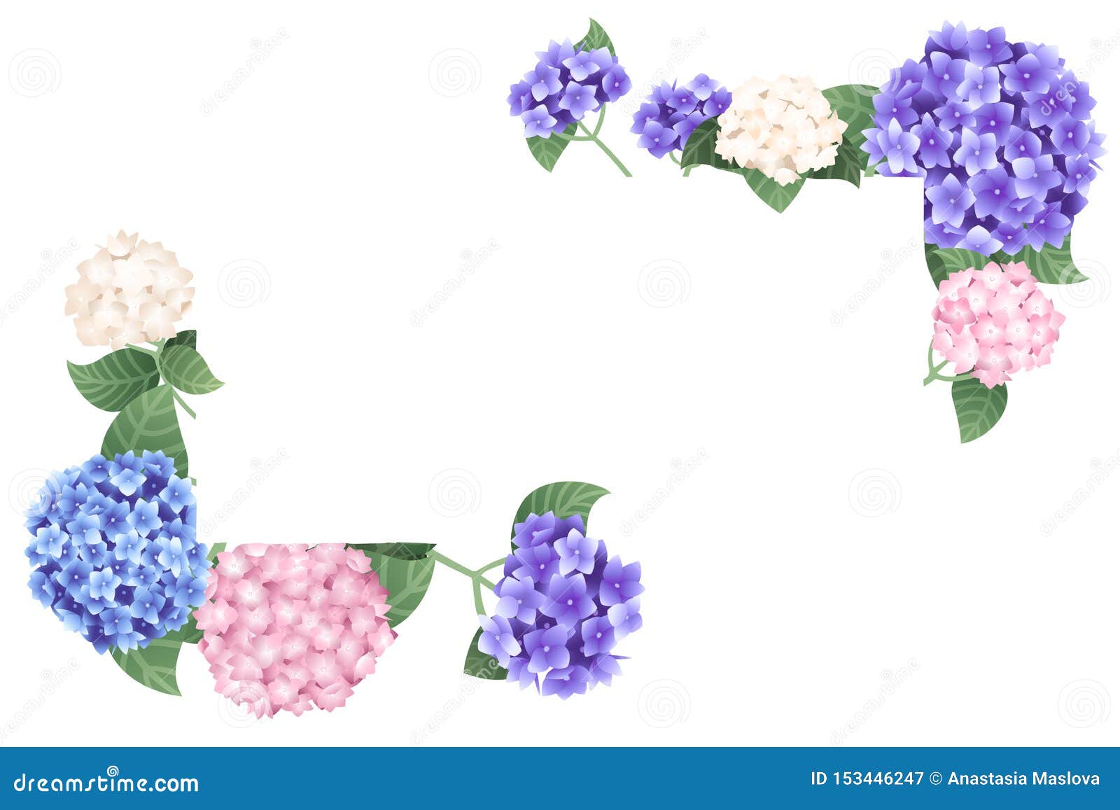 Horizontal Colorful Hydrangea Template Design Banner Flat Vector ...