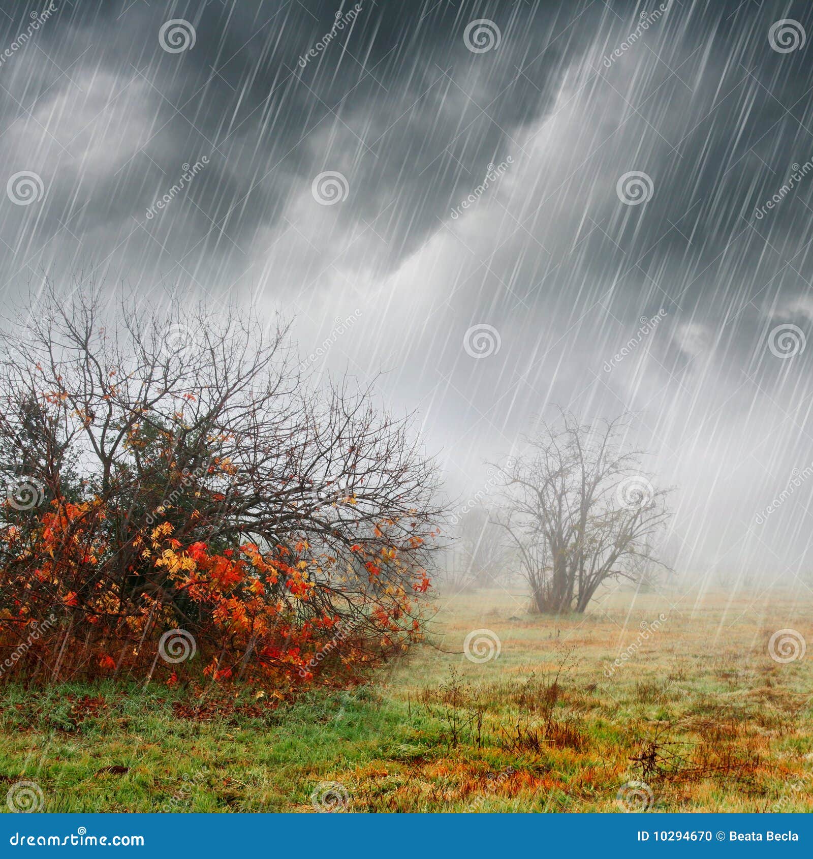 Horizontal D'automne En Pluie Et Regain Photo stock - Image du tempête ...