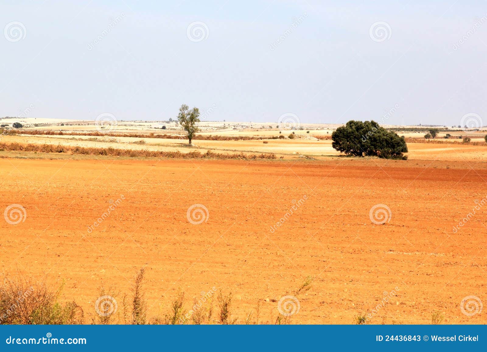Horizontal De Loess En Espagne Près D'Albacete Image stock - Image du ...