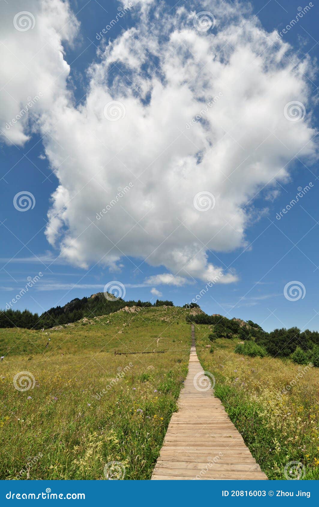 Horizontal de nature image stock. Image du générique - 20816003