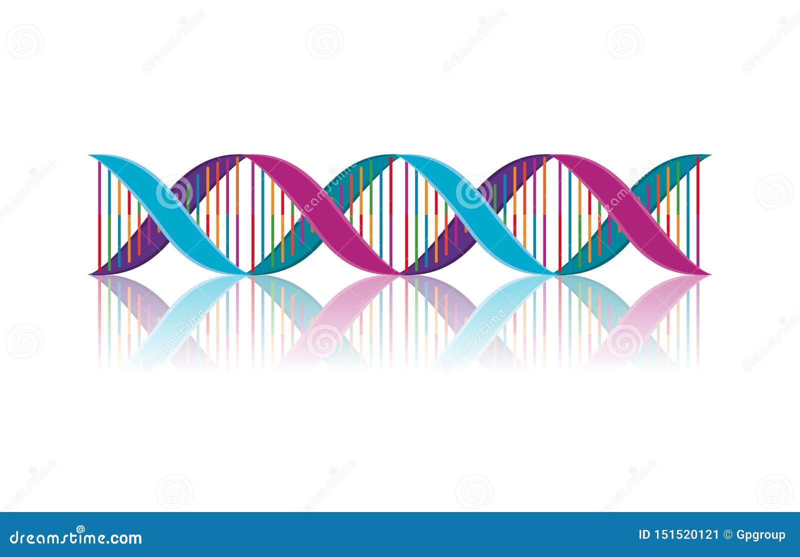 Horizontal Dna Chain Science Colorful Icon Stock Vector - Illustration ...