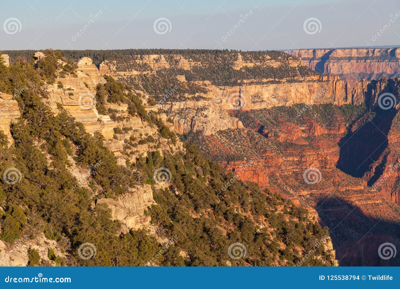 Horizontal Du Nord De RIM De Gorge Grande Photo stock - Image du désert ...