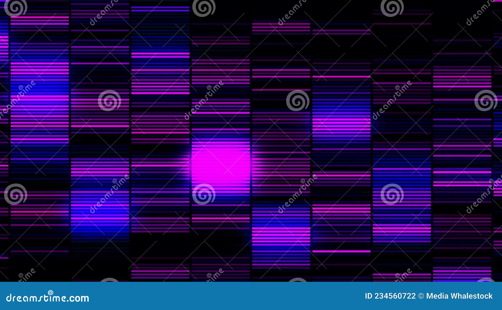Horizontal Flashing Purple and Blue Stripes Divided into Same Size ...