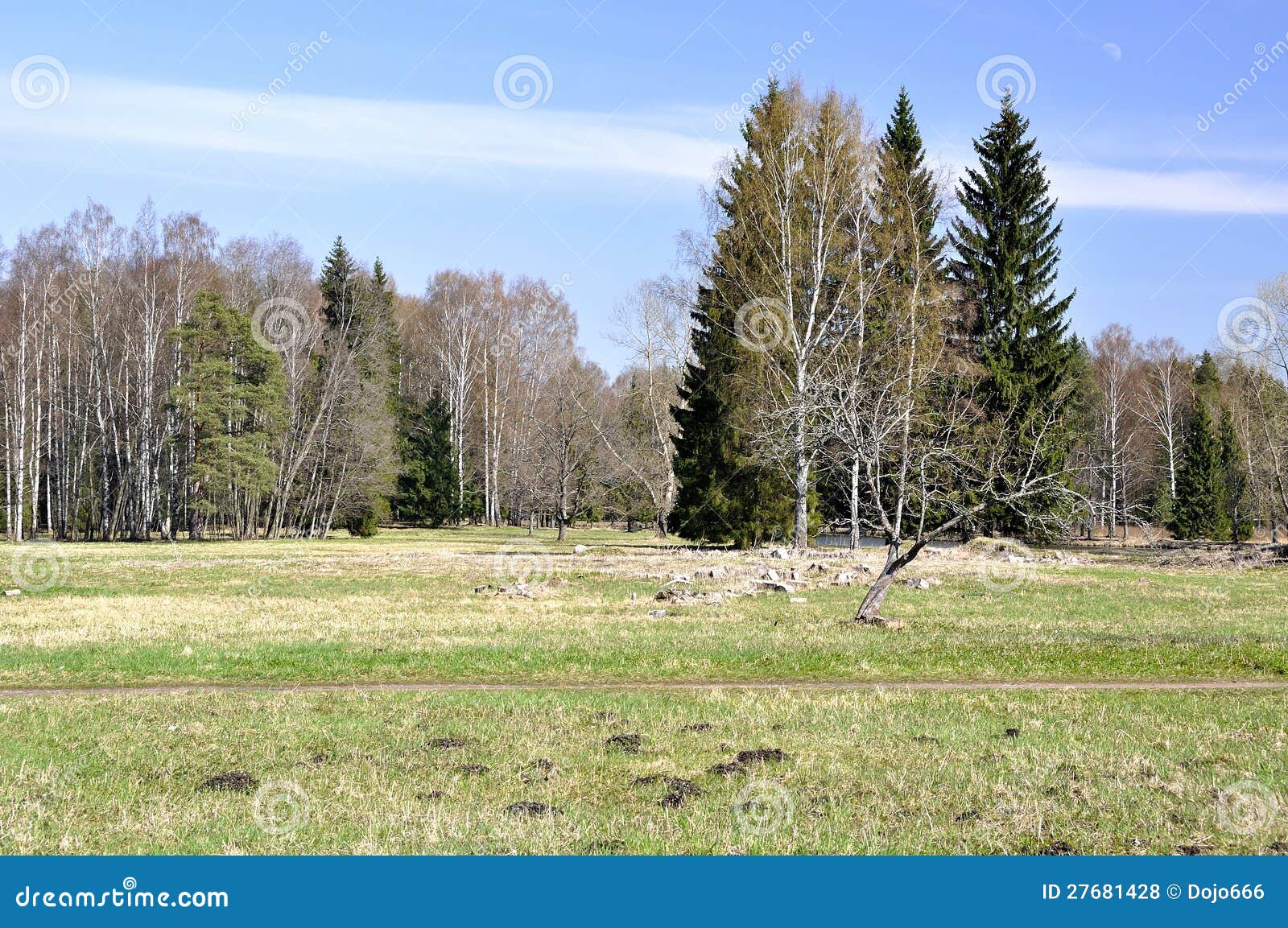 Horizontal footpath stock photo. Image of country, plant - 27681428