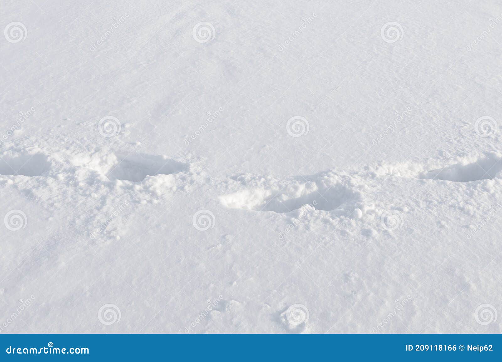Footprints in snow stock photo. Image of closeup, winter - 209118166