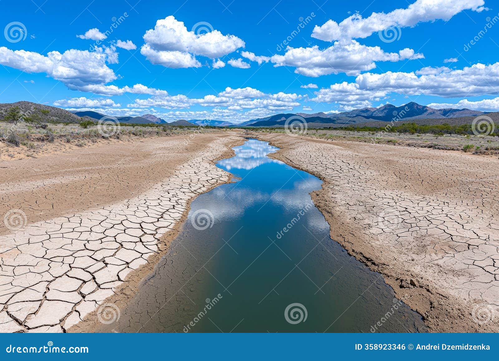 Horizontal Format of a Sandy Dry Plain with Rare Trees and Dried River ...