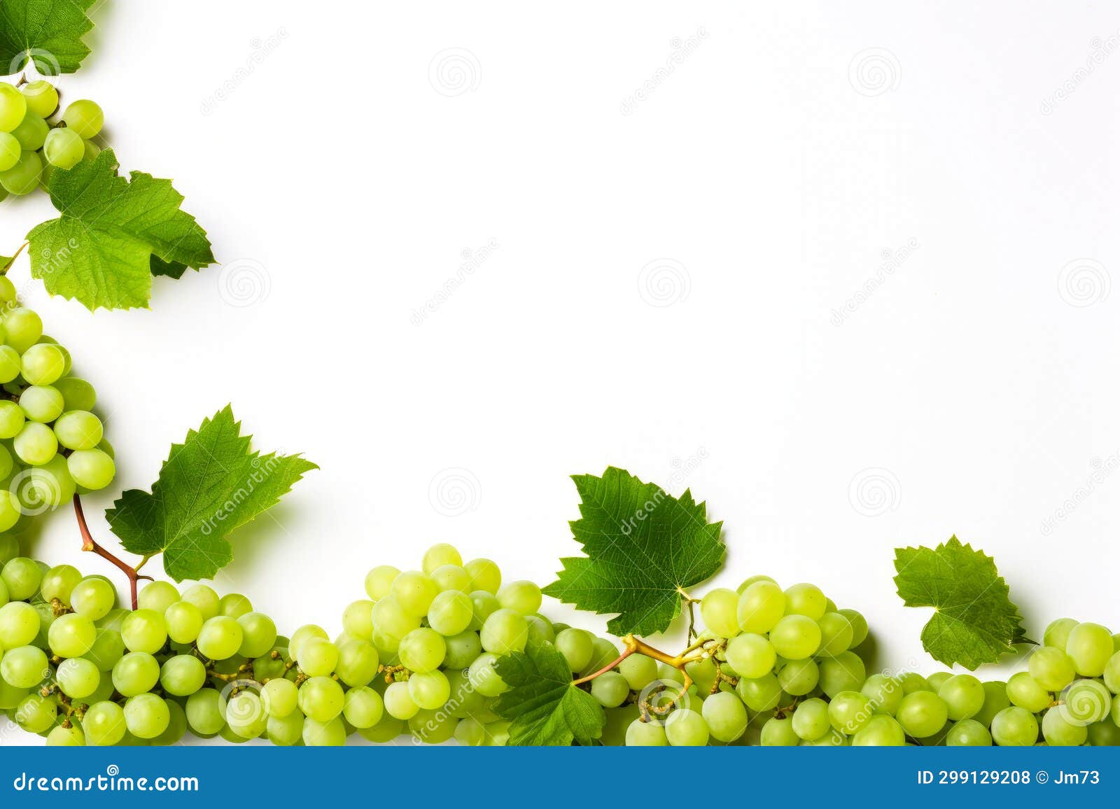Horizontal Frame Border from Grapes and Leaves of White Wine on White ...