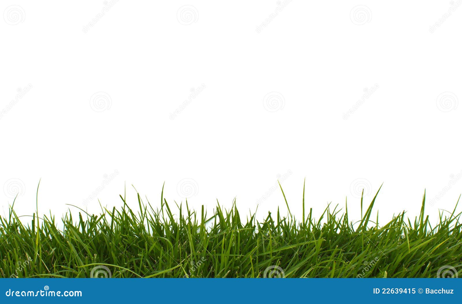 Horizontal grass. stock image. Image of golf, border - 22639415