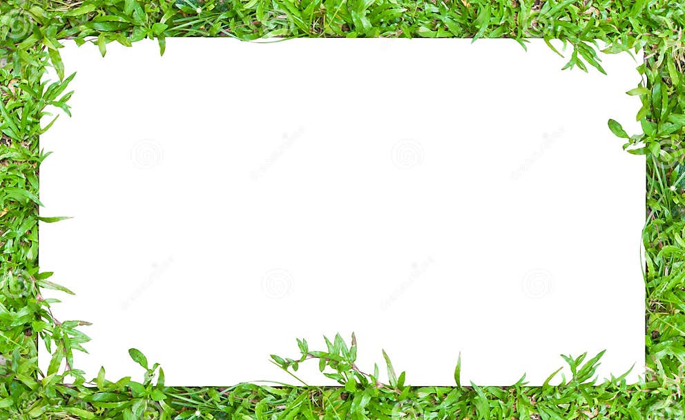 Horizontal Grass Border Frame Stock Photo - Image of field, grassy ...