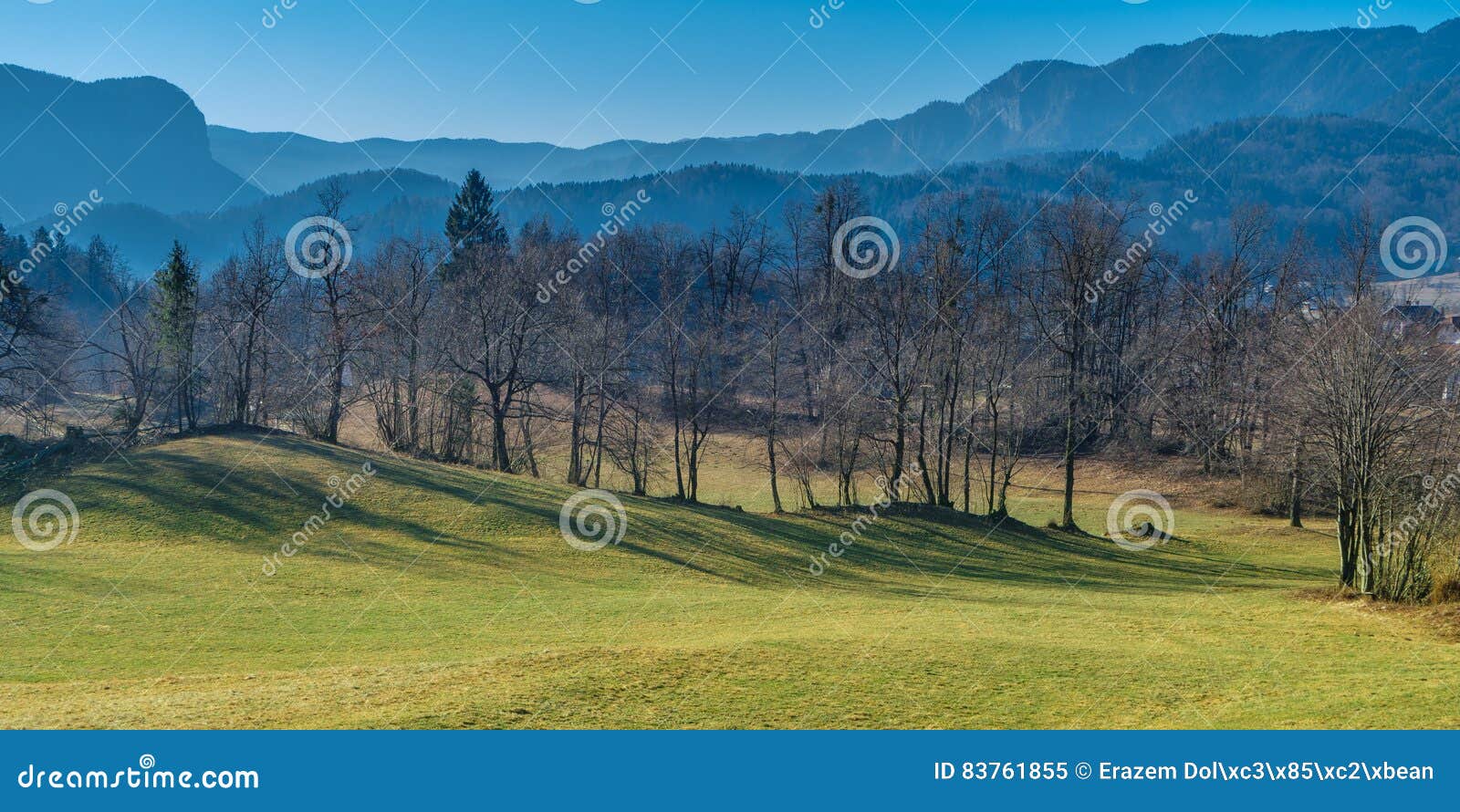Horizontal Group of Trees on a Meadow Stock Image - Image of nature ...