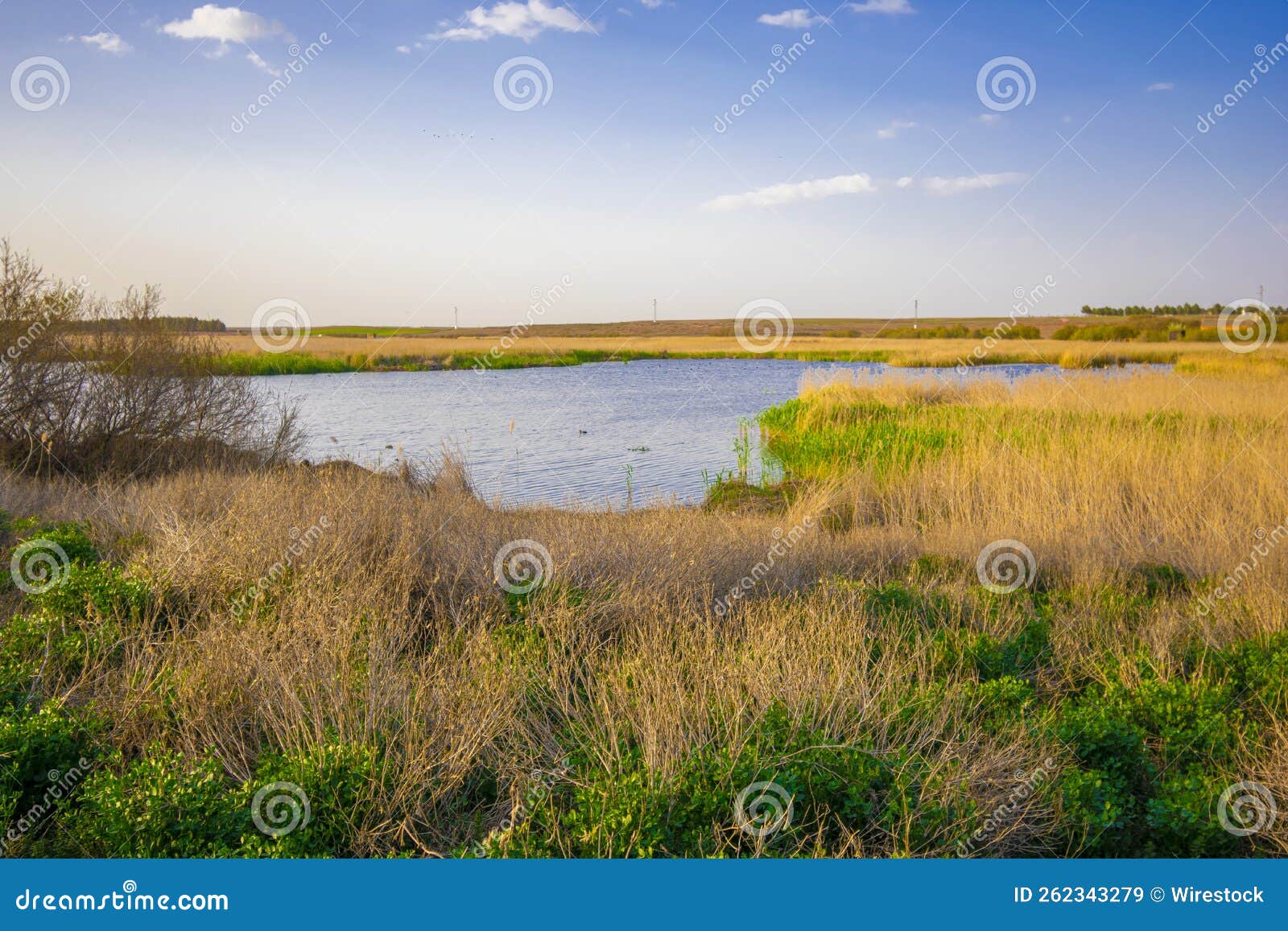 Horizontal Image of Dry Grass Near the River and Blue Sky Stock Image ...