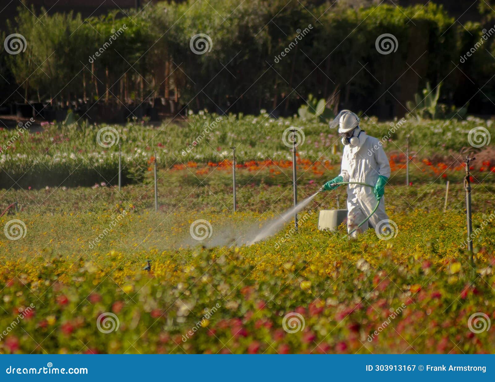 Horizontal Image of a Field Worker Dressed in a Hazardous Materials ...