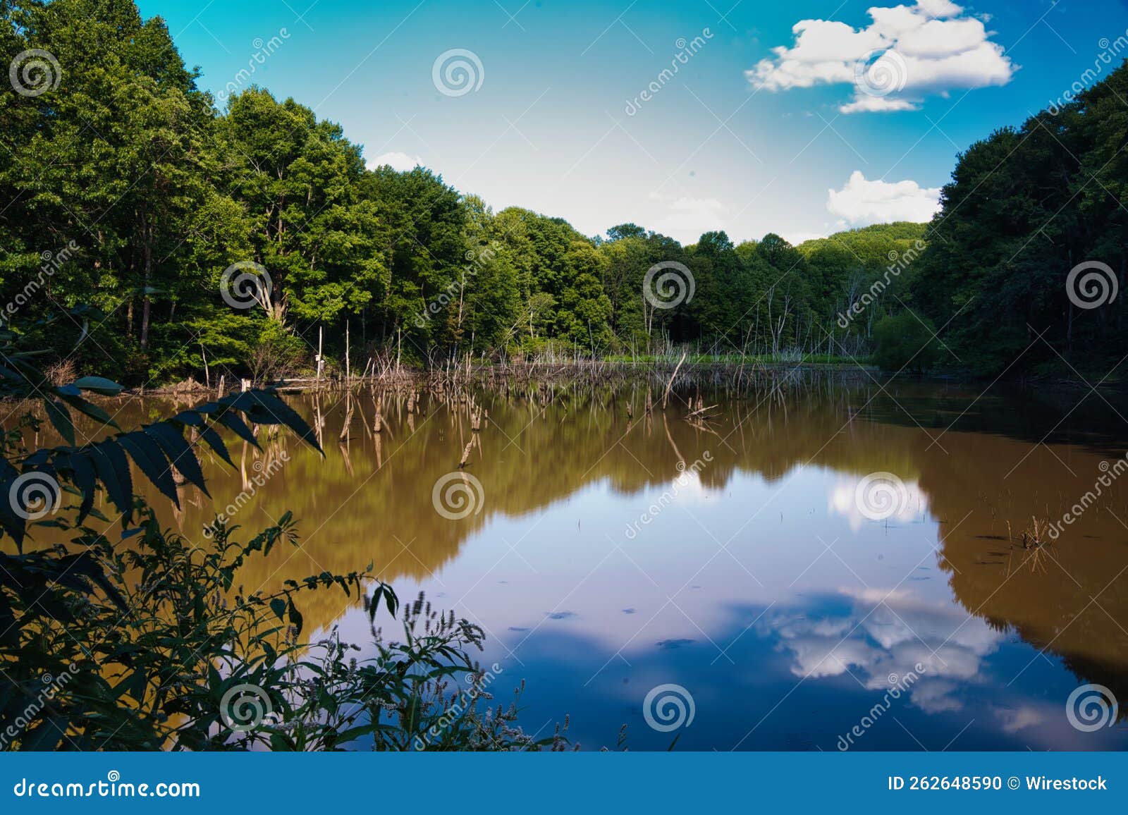 Horizontal Image of a Lake with the Reflection of Blue Sky in the ...