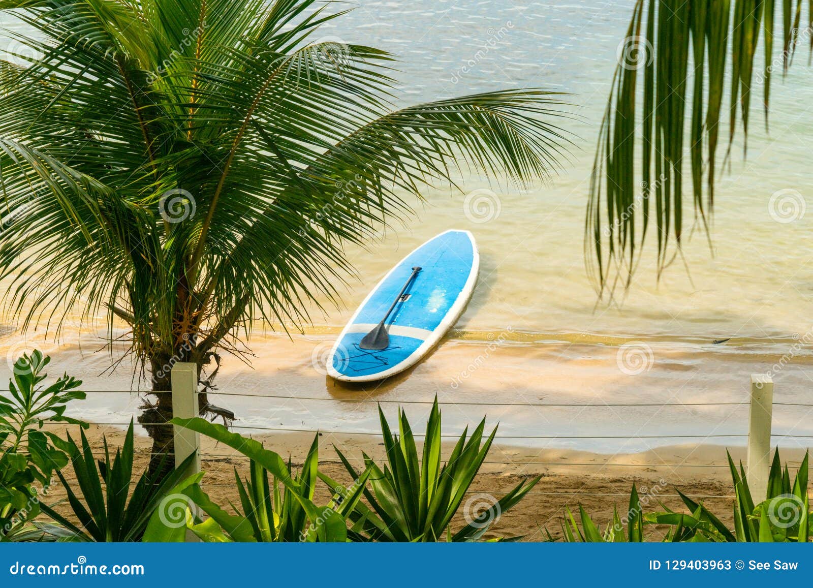Horizontal Image of a Paddle Board on a Beach. Stock Image - Image of ...
