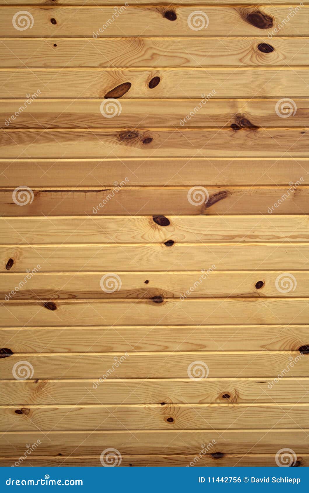 Knotty Pine Wood Wall Paneling Texture Royalty-Free Stock Photography ...