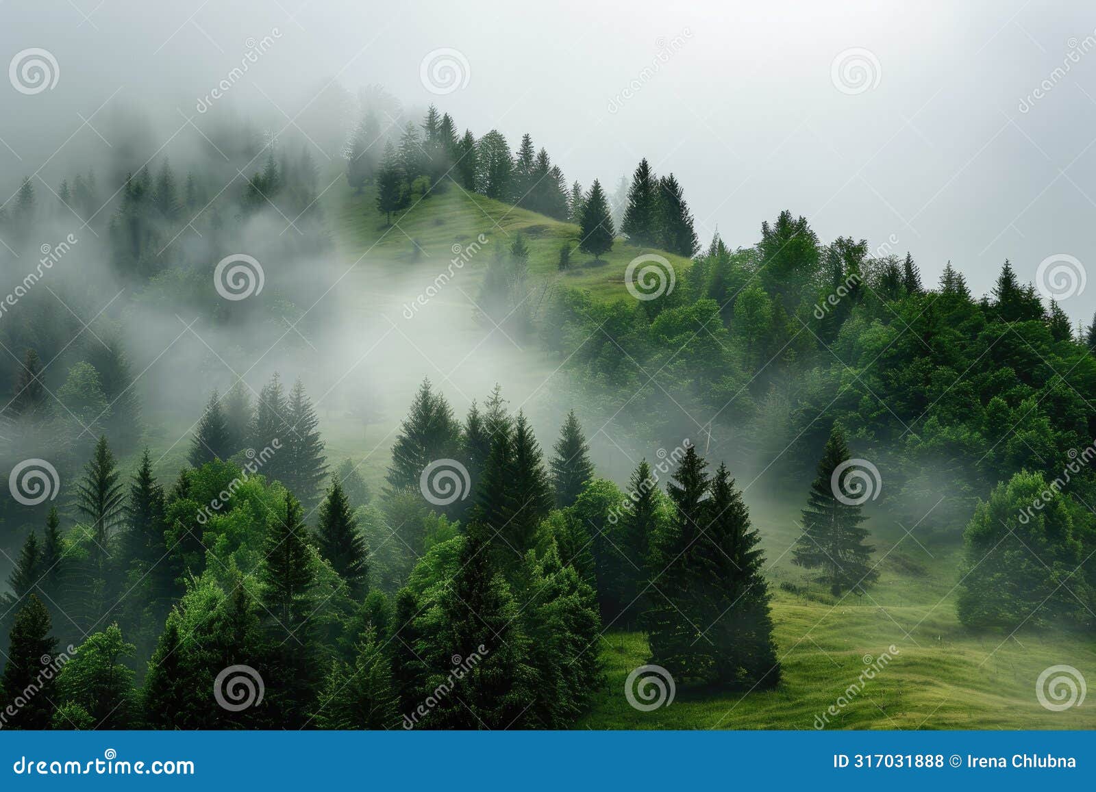 Horizontal Landscape Green Trees in the Fog Stock Illustration ...
