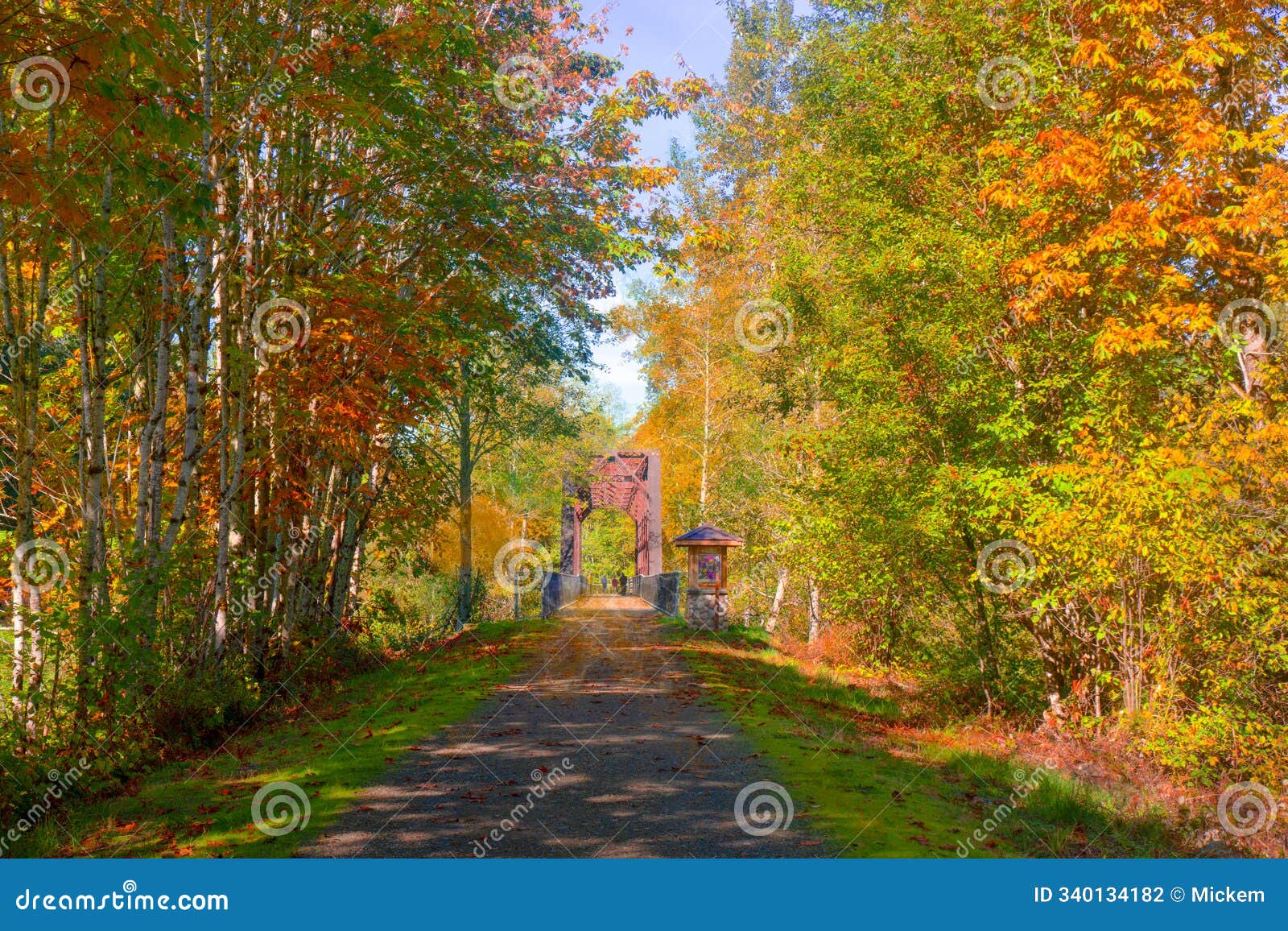 Country Rural Lane Fall Colors Train Tresses Stock Photo - Image of ...