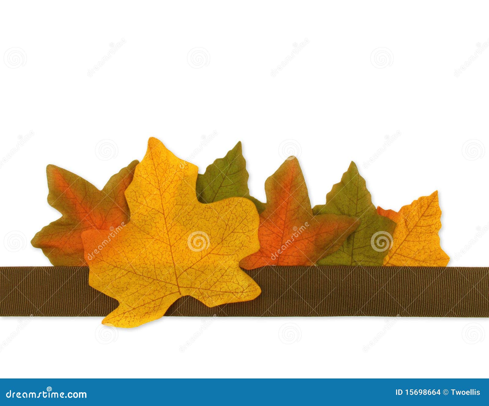 Horizontal leaves stock photo. Image of green, branch - 15698664