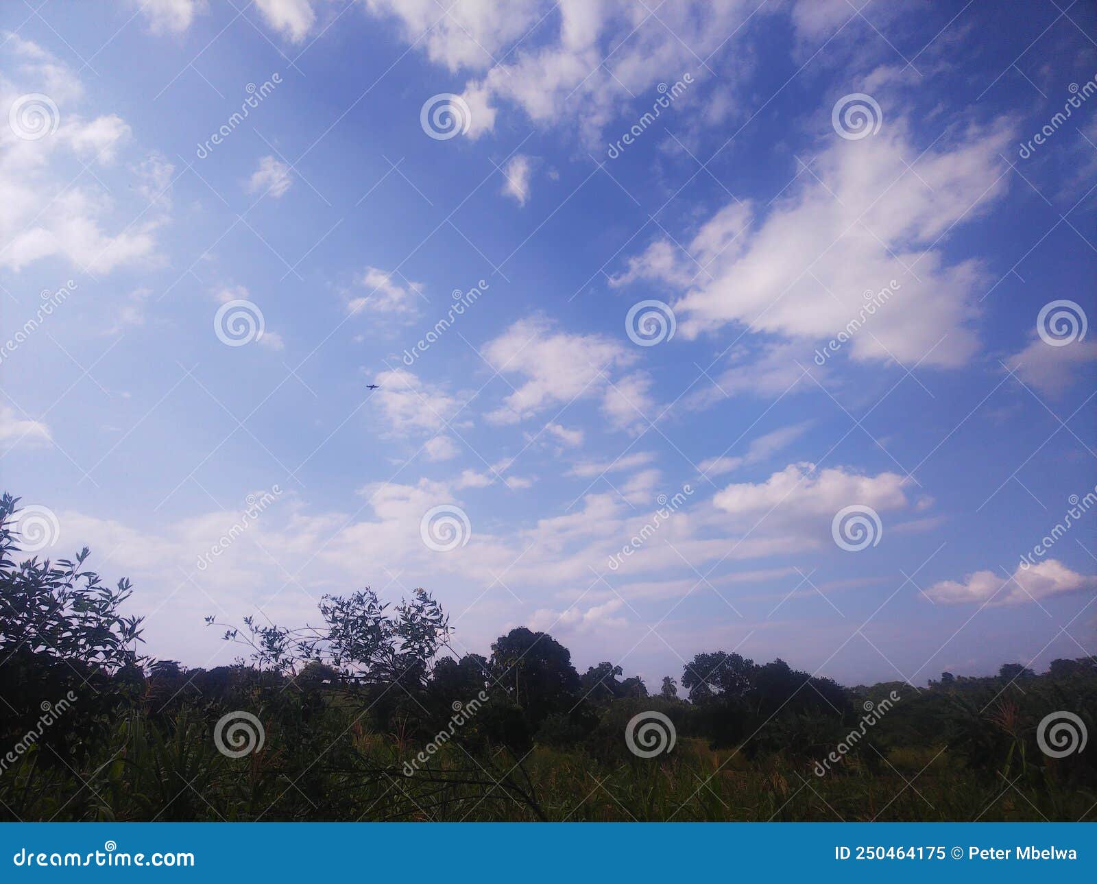 Horizontal line cloud stock image. Image of dusk, sunlight - 250464175
