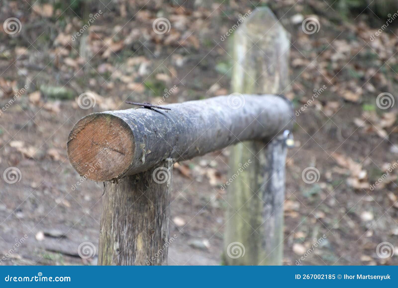 A Horizontal Log in the Form of a Barrier in a Forest. the Passage is ...