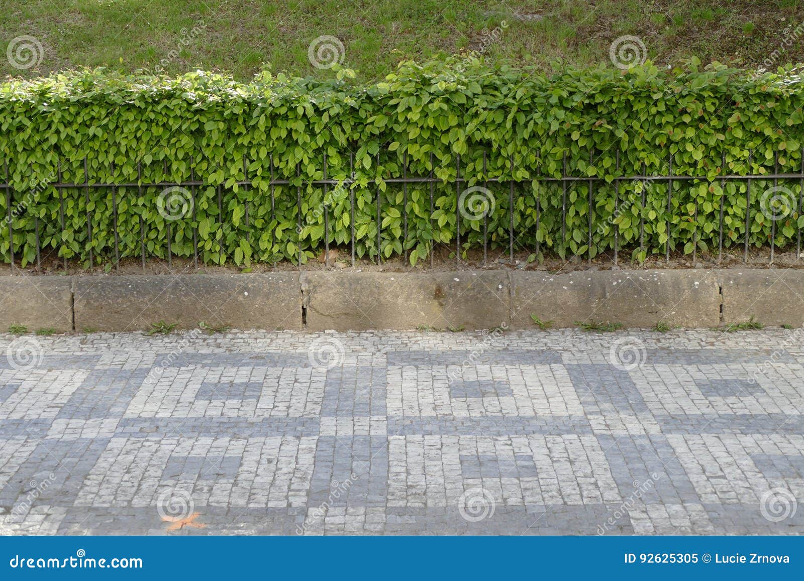 Horizontal Pattern of Street and Hedge Stock Image - Image of outside ...