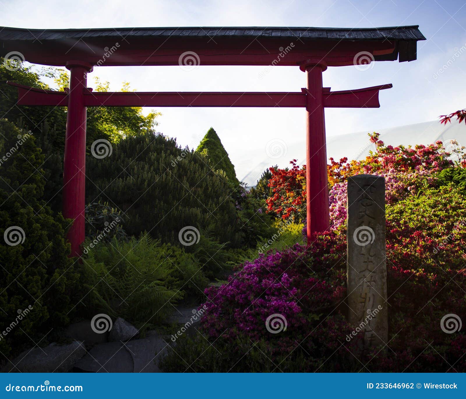 Horizontal Photo of a Beautiful Japanese Garden Stock Photo - Image of ...
