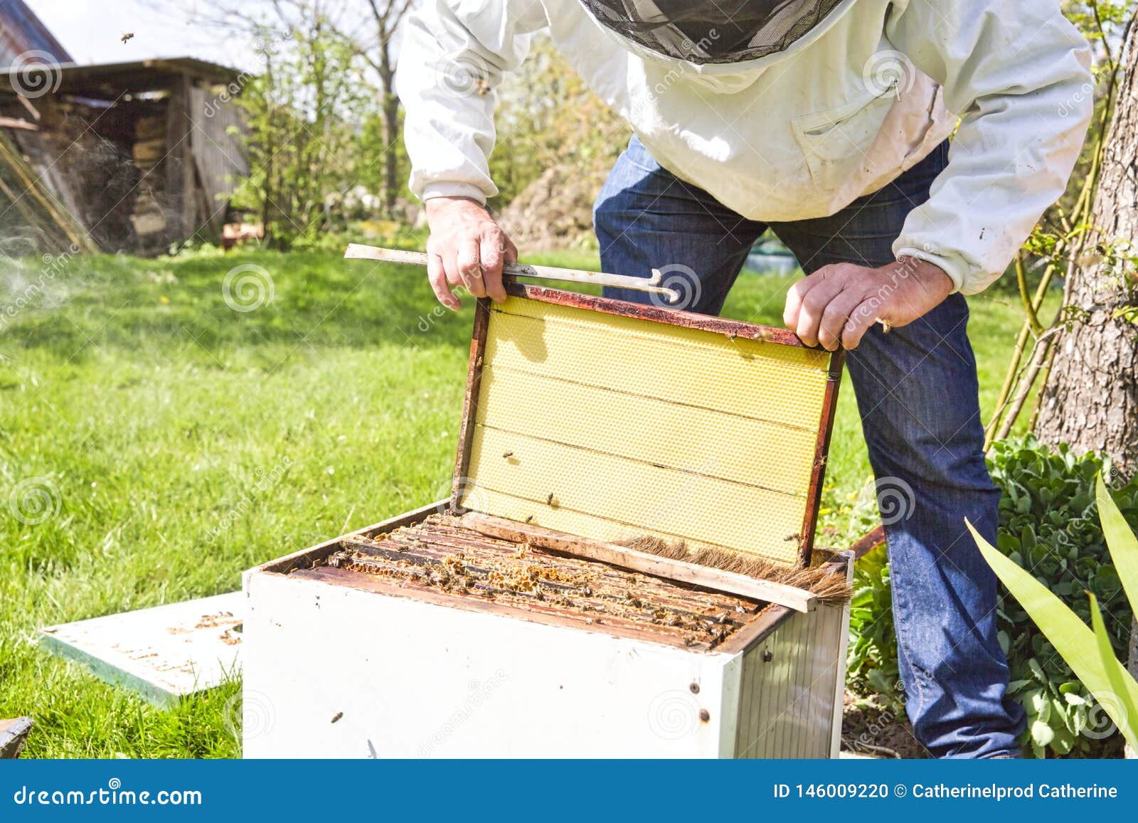 Horizontal Photo of a Beekeeper in White Protection Suit and Denim ...