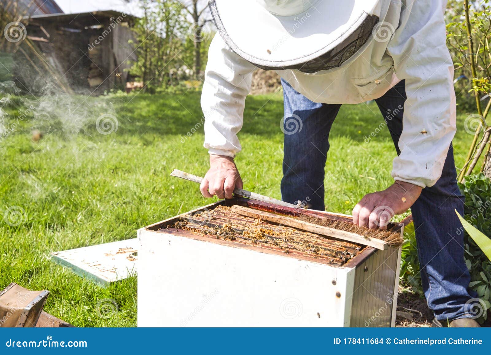 Horizontal Photo of a Beekeeper in White Protection Suit and Denim ...