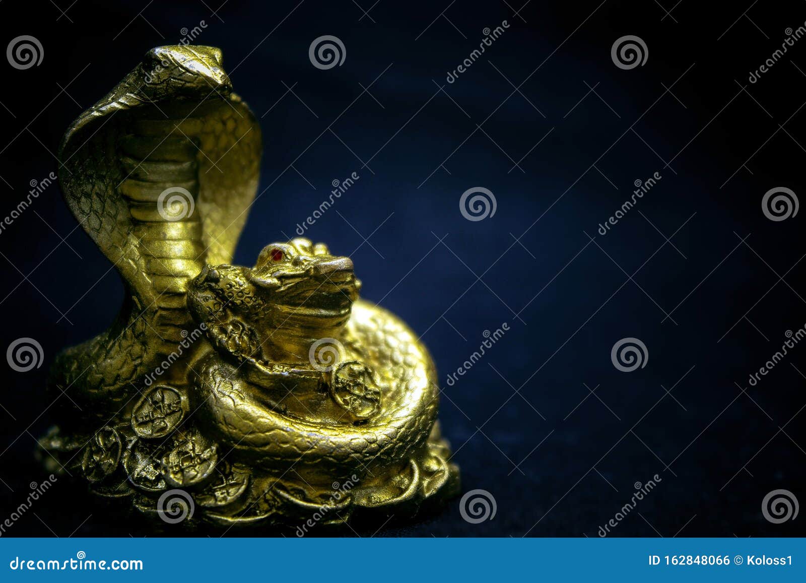 Gilded Figure of a Snake and a Toad on a Black Background Stock Photo ...