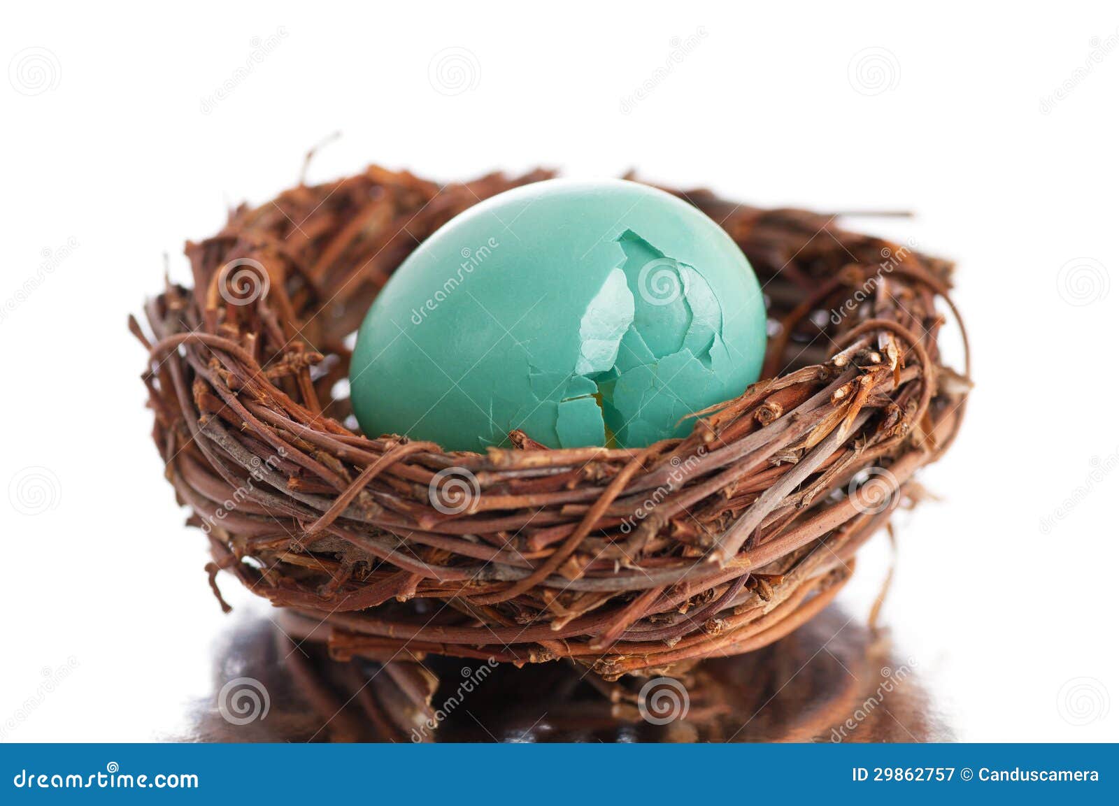 Robin Eggs Hatching