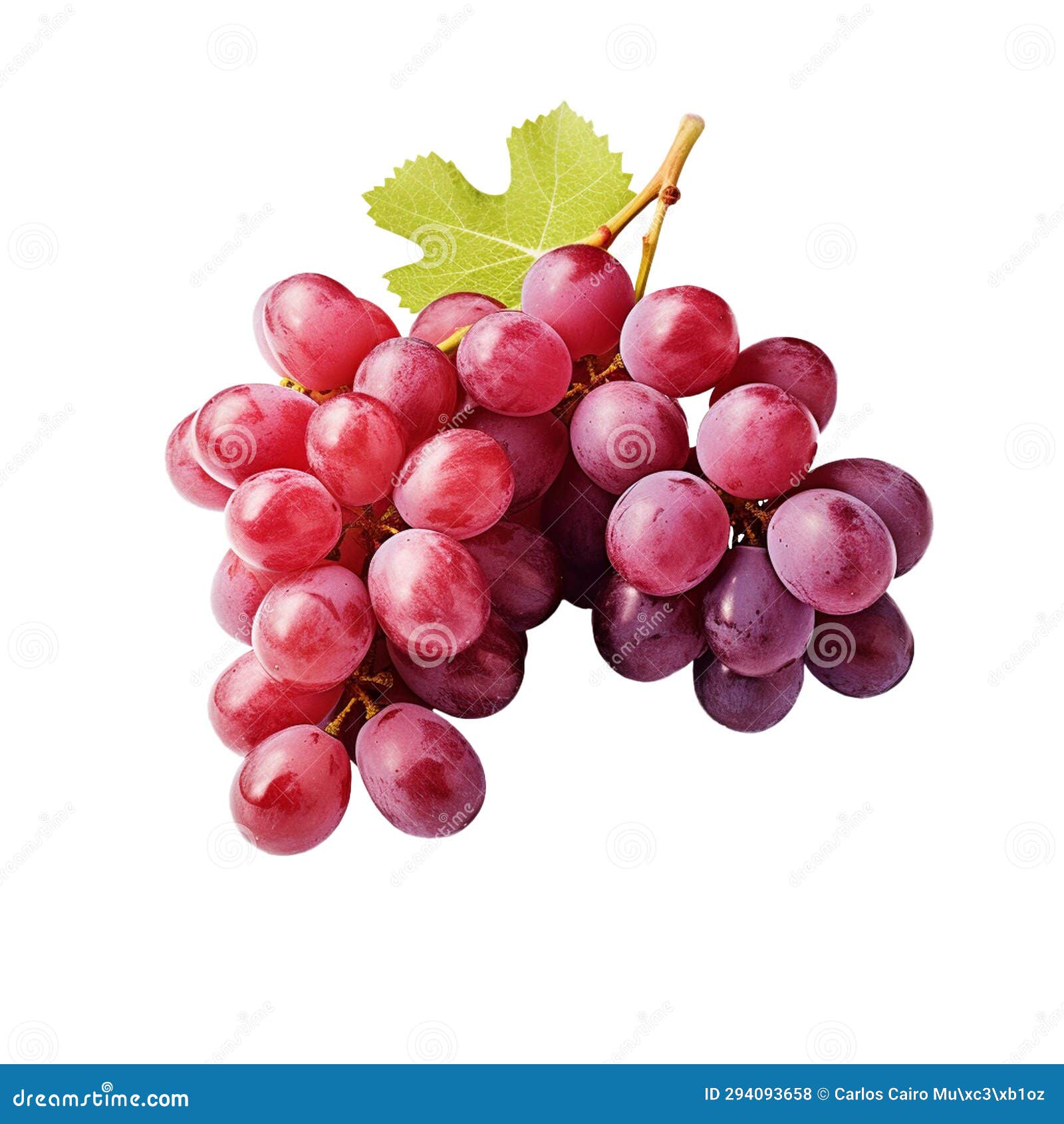 Horizontal Red Grape Bunch with Leaves Stock Photo - Image of growing ...