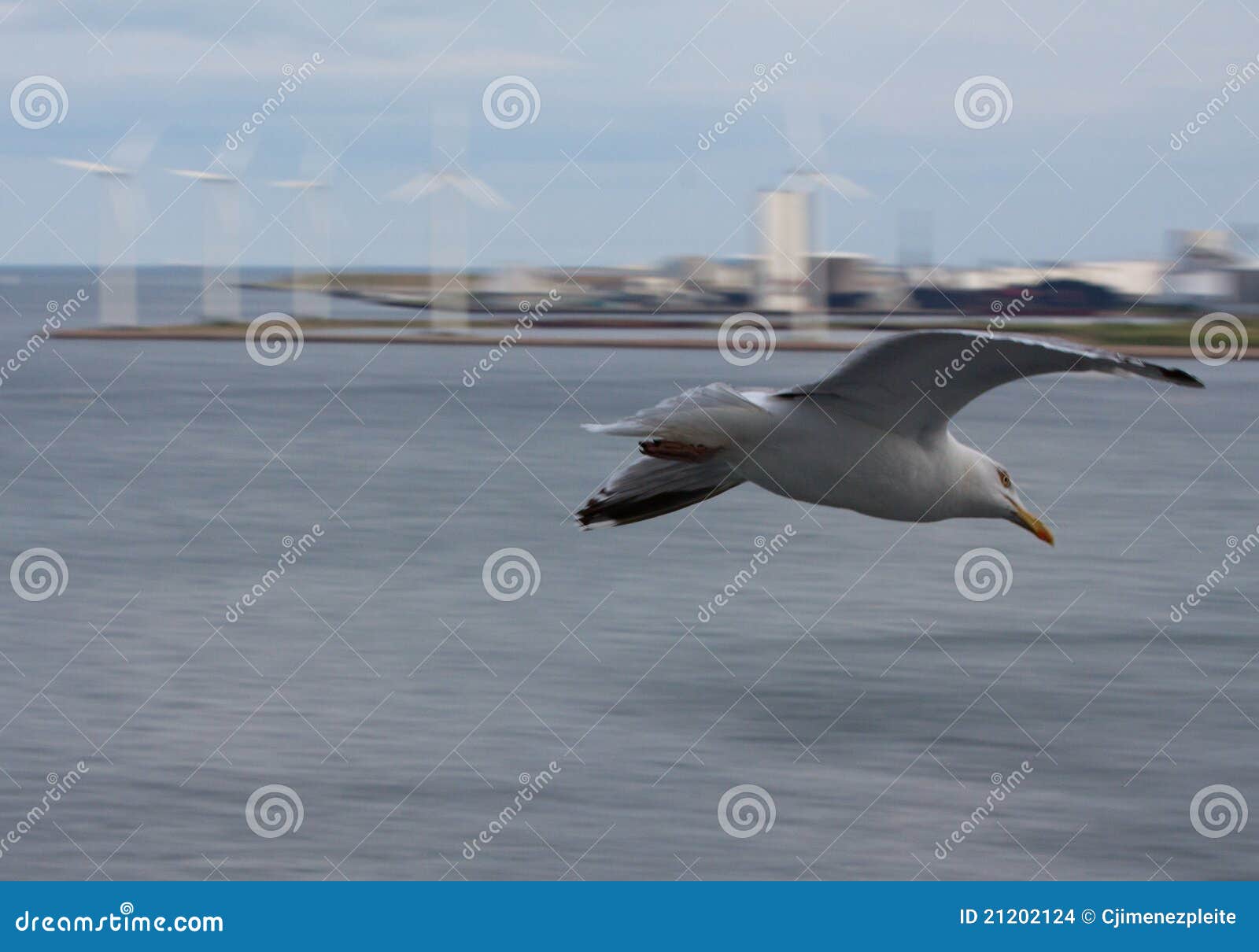 Horizontal Seagull and Wind Turbine Generators Stock Photo - Image of ...