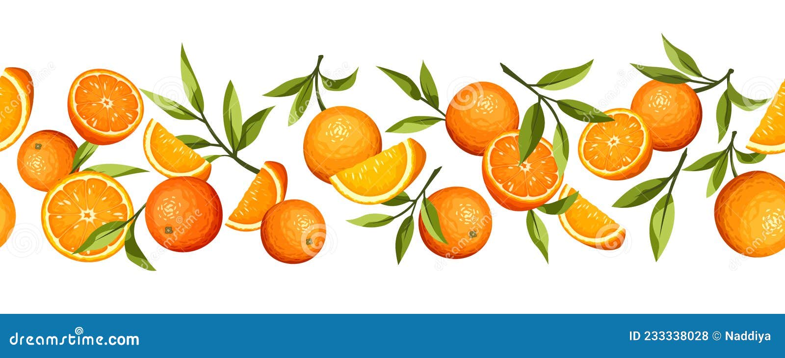 Horizontal Seamless Border with Citrus Orange Fruit. Vector ... Horizontal Seamless Border with Citrus Orange Fruit. Vector ...