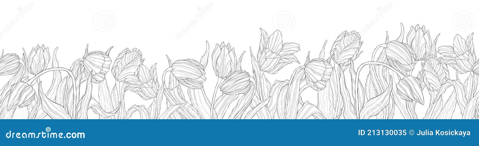 Horizontal Border Line Art