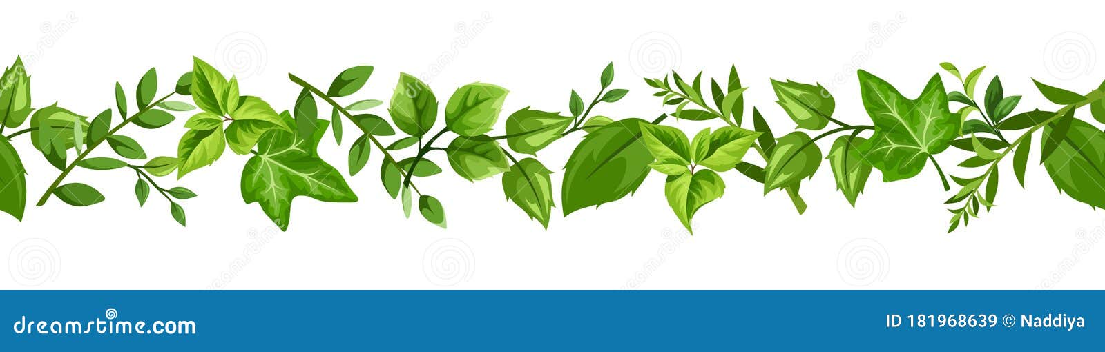 Horizontal Seamless Border with Various Green Leaves. Vector ...